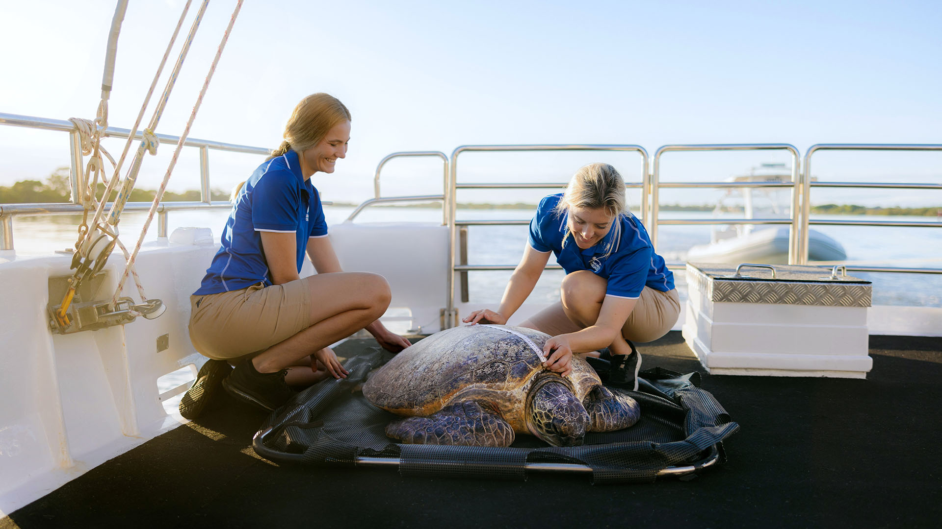 Sea World Foundation | Marine Conservation & Research