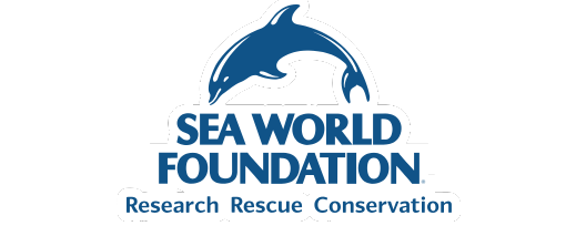 Marine Animal Rescue | Sea World Foundation