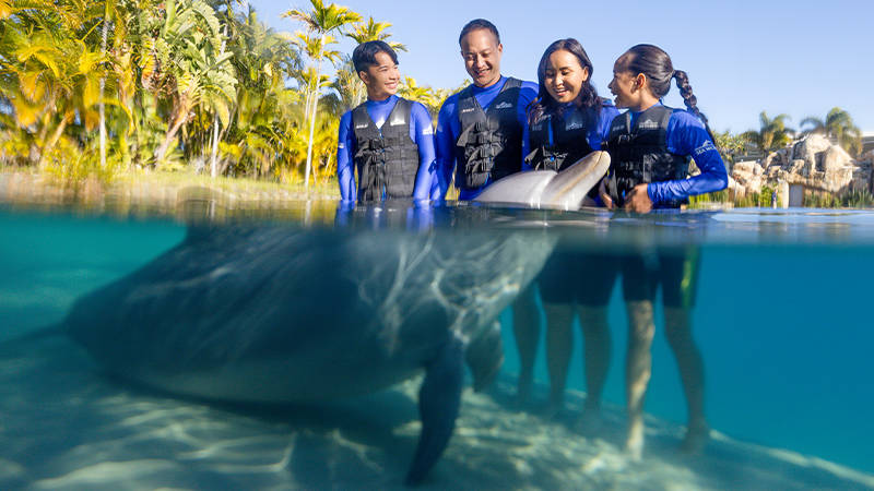 Sea World Gold Coast: Marine Life, Thrill Rides & Family Fun