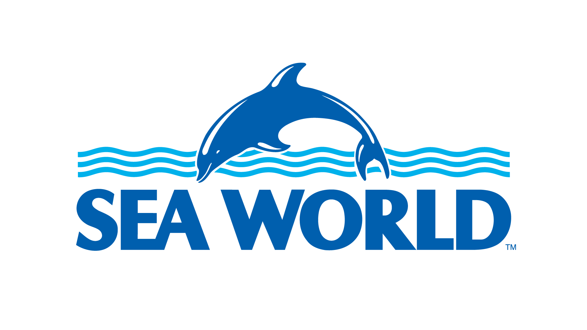 Sea World Gold Coast: Marine Life, Thrill Rides & Family Fun