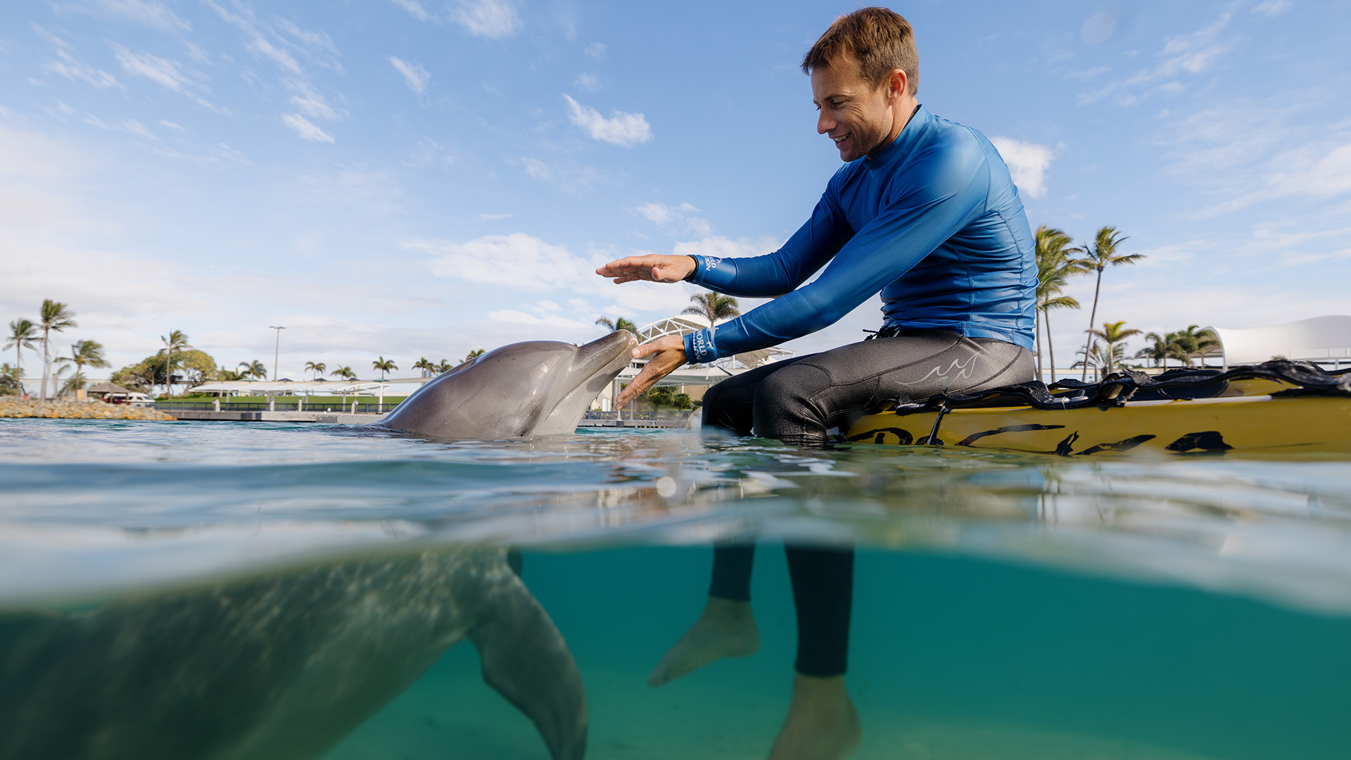 Sea World Foundation