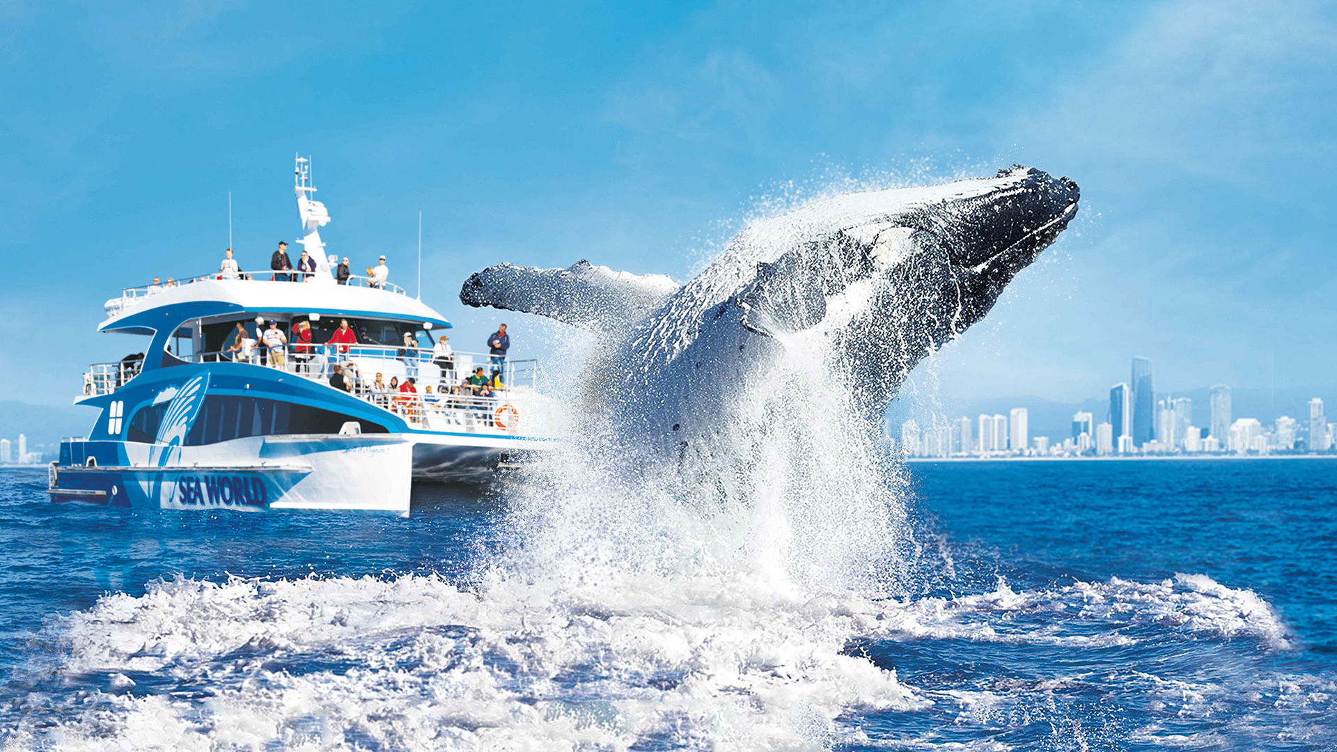 Sea World Resort | Family-Friendly Accommodation on the Gold Coast