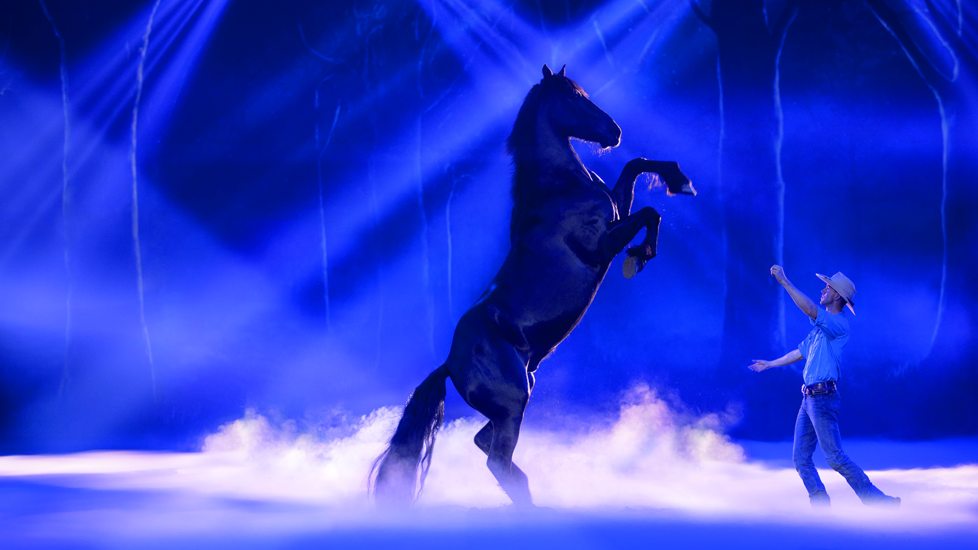 General Admission | Australian Outback Spectacular