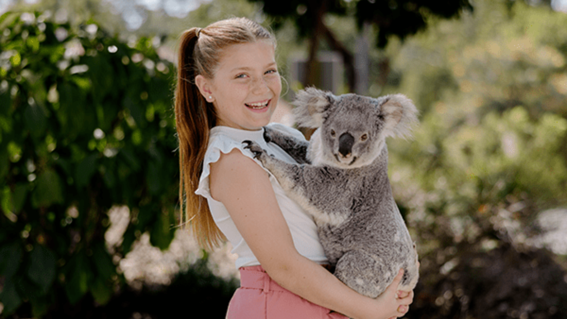 The Best Place to Encounter a Koala on the Gold Coast