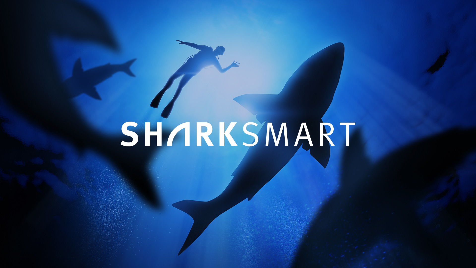Become SharkSmart at Sea World, Gold Coast