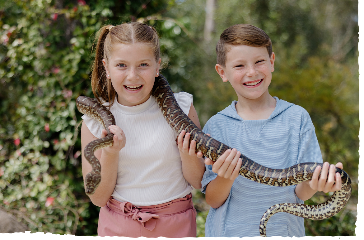 Wildlife Photos with Koalas, Snakes & Dingoes | Gold Coast