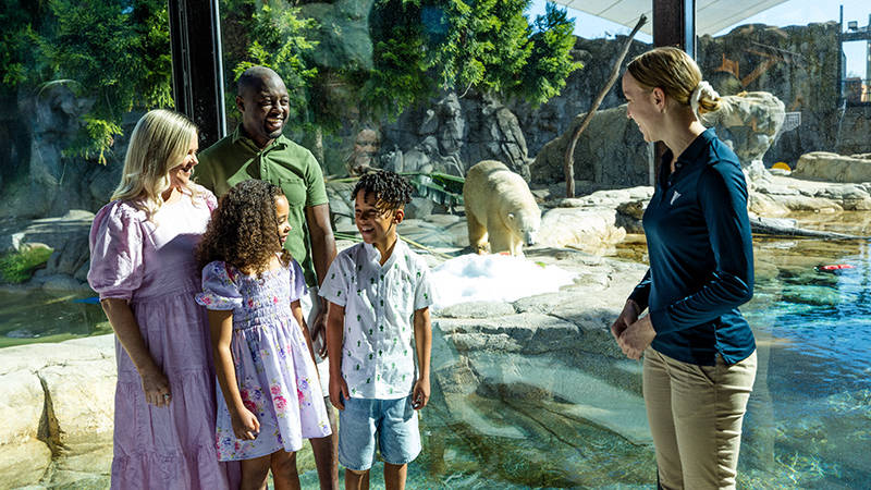 Seal Harbour at Sea World Gold Coast