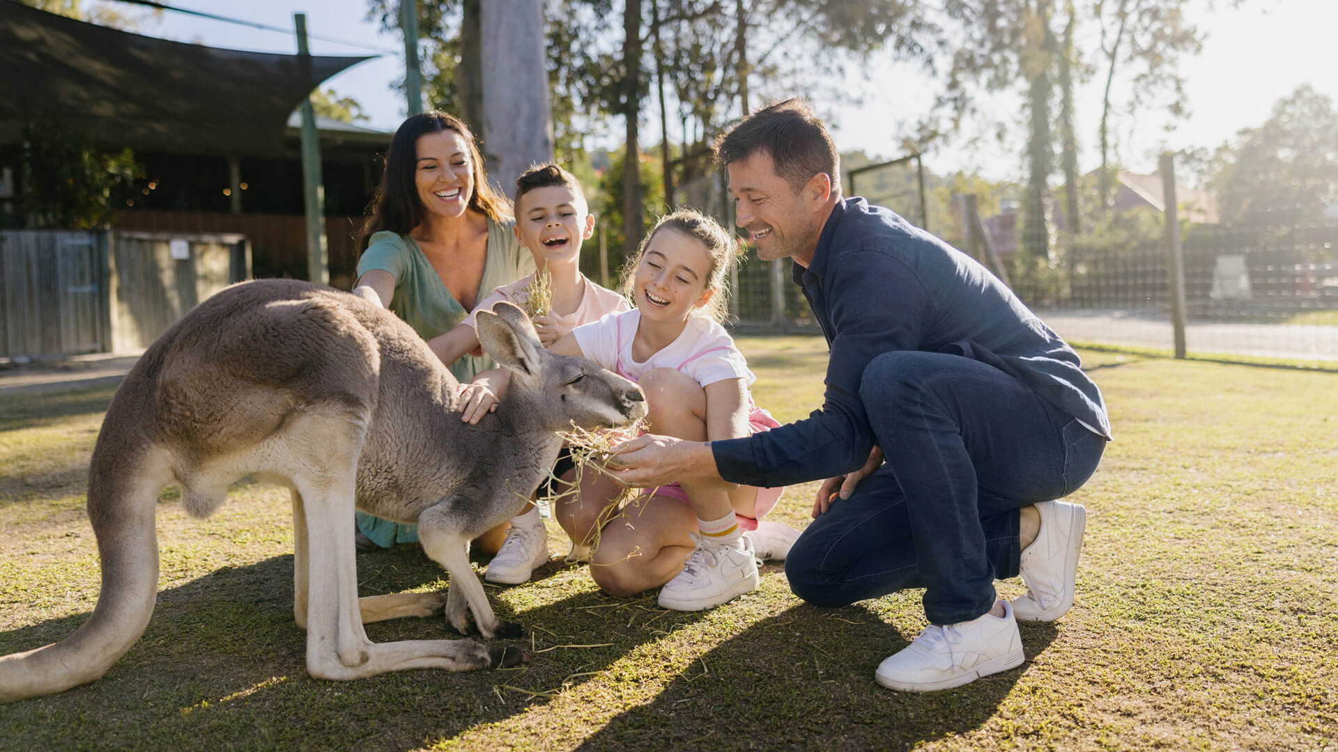 Meet Aussie Animals at Paradise Country Gold Coast