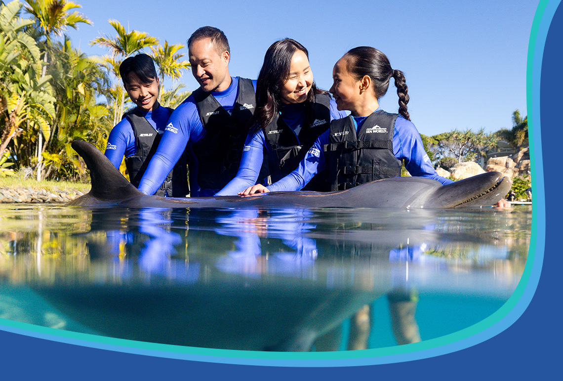 Dolphin Deep Water Adventure at Sea World Gold Coast