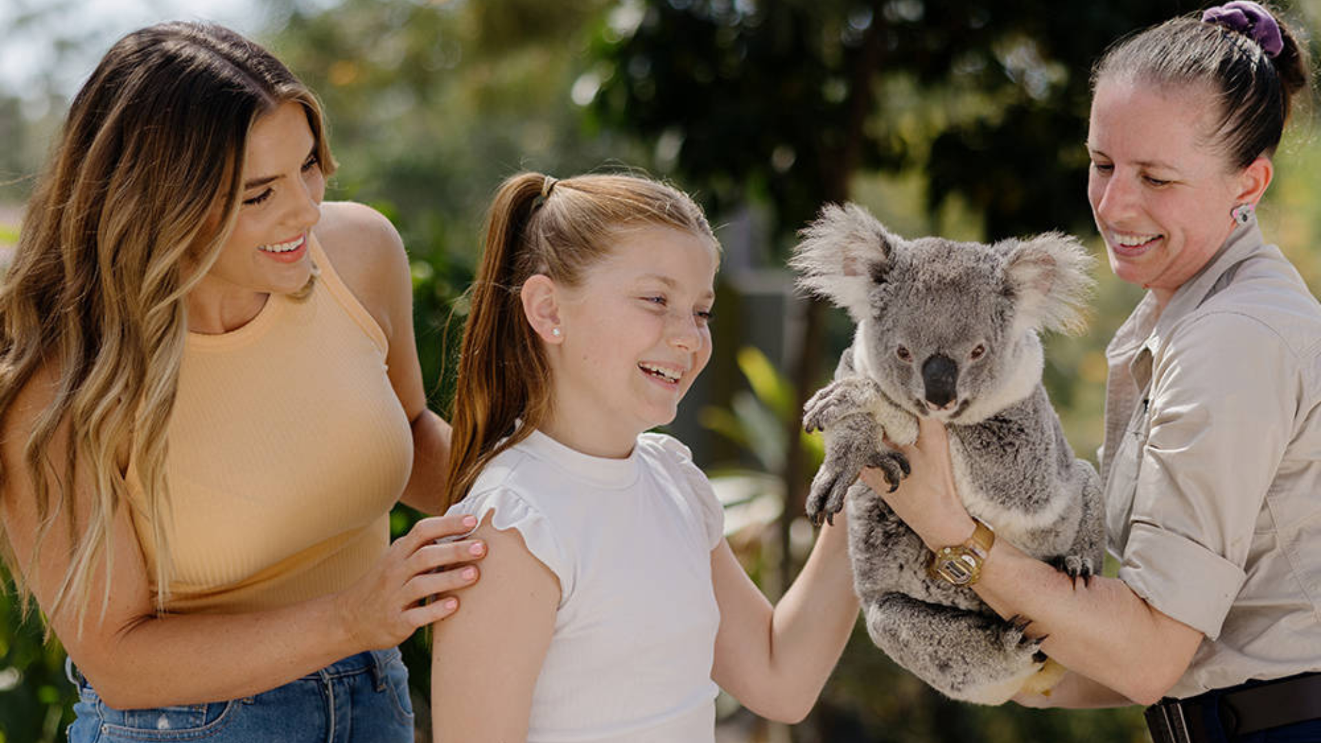 The Best Place to Encounter a Koala on the Gold Coast