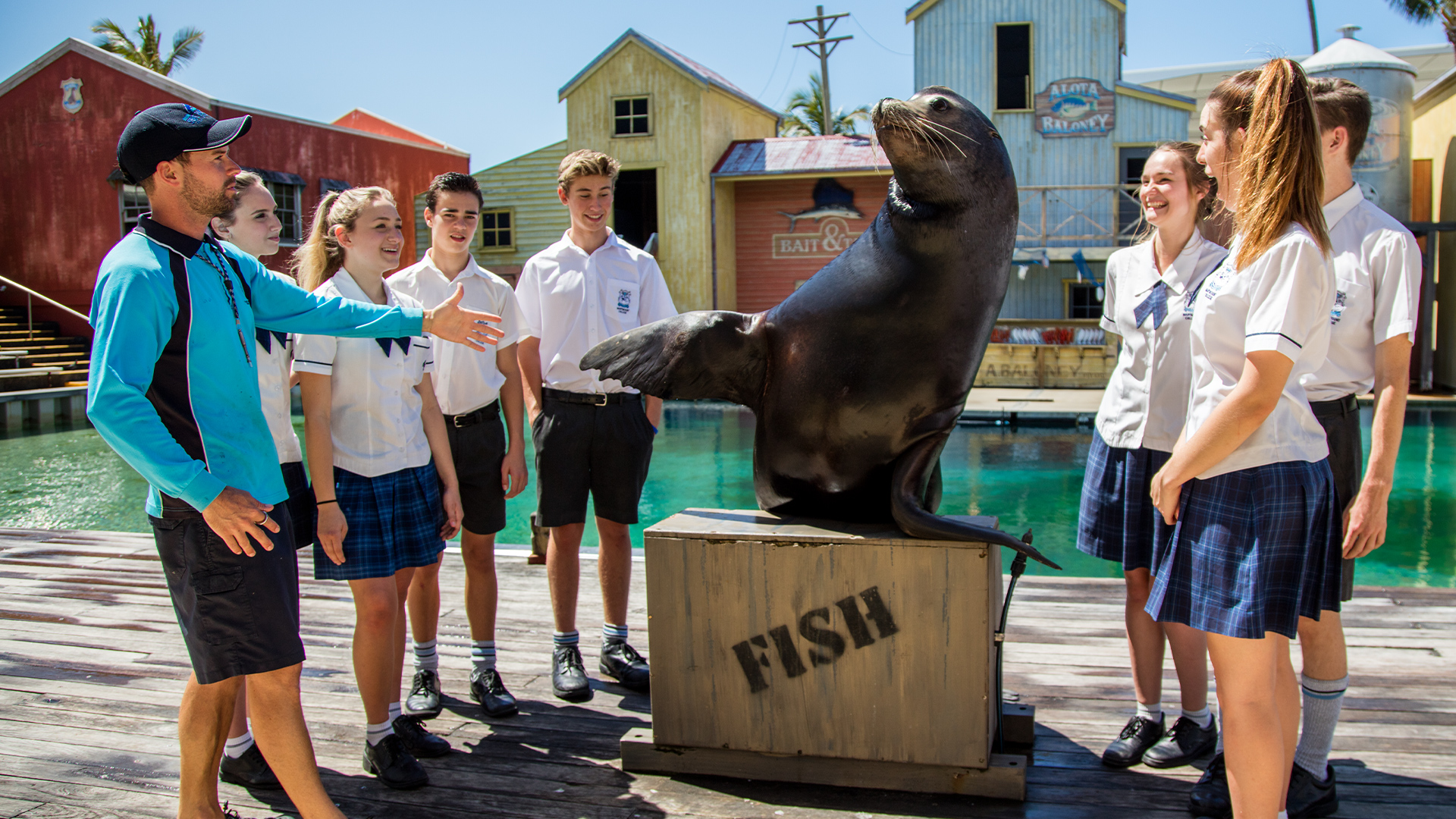 Groups & Functions at Sea World: Book Your Event!