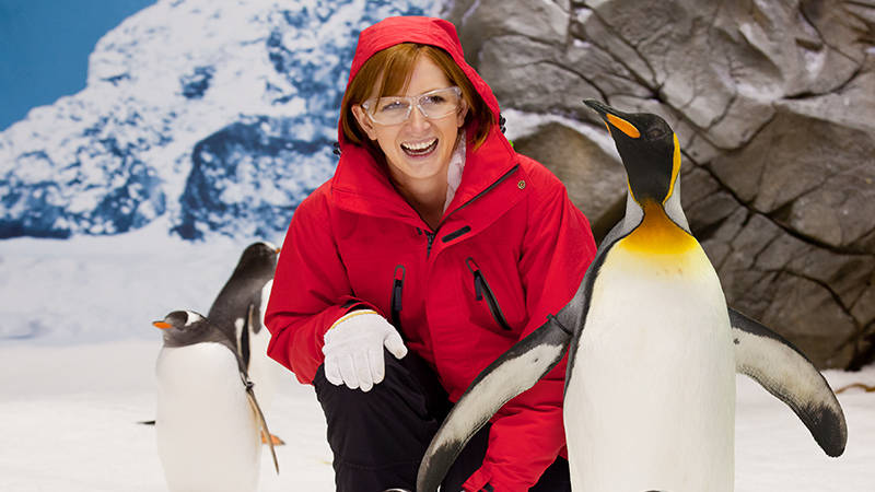 Sea World Gold Coast: Marine Life, Thrill Rides & Family Fun