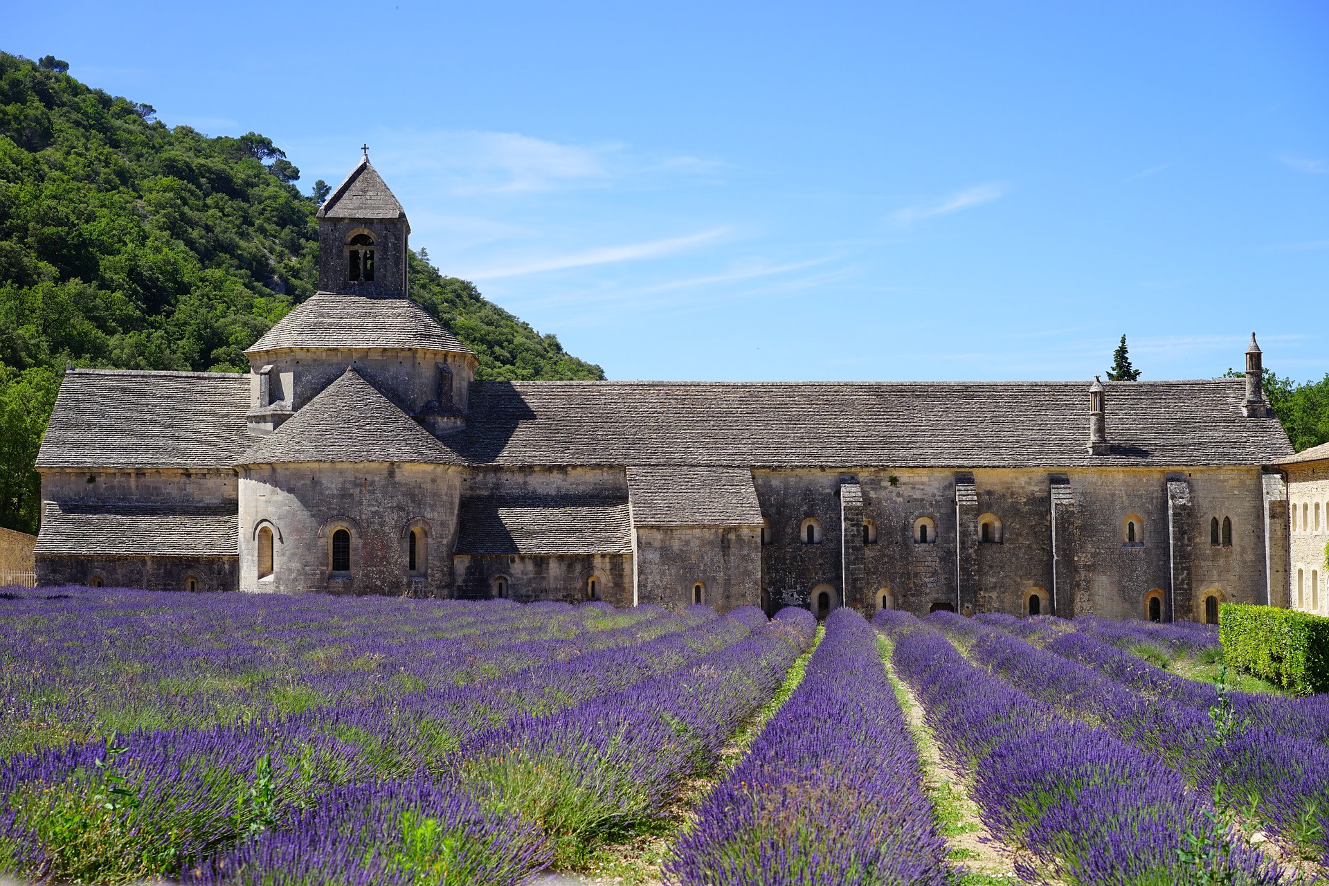 Sénanque Abbey