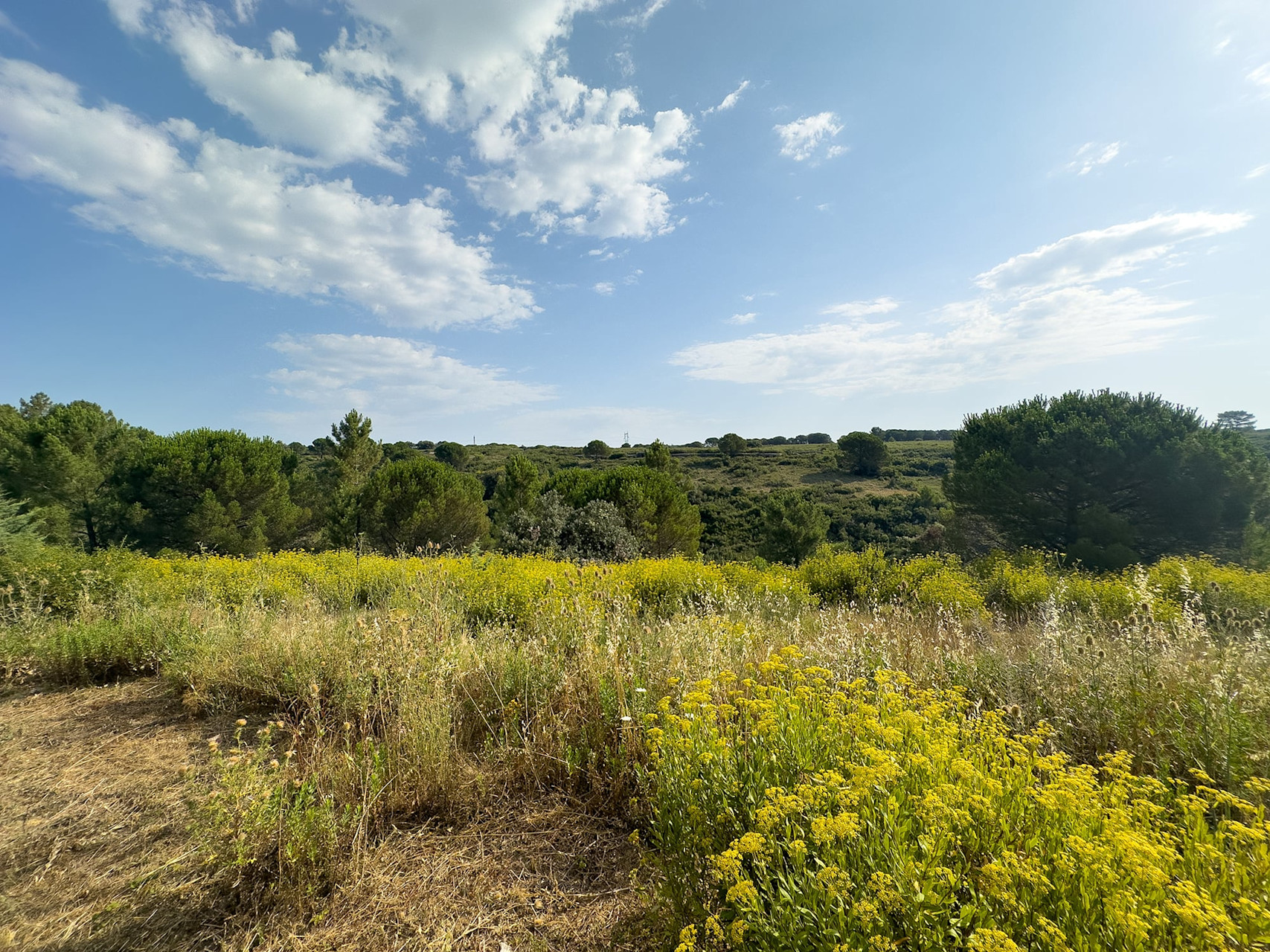 Choose the French countryside for your holidays