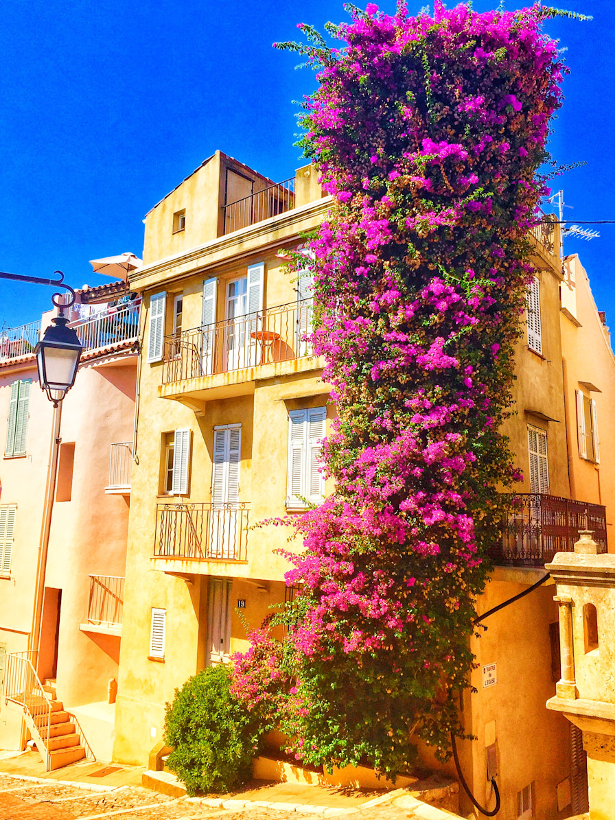 Discover Le Suquet, the tiny town that became Cannes