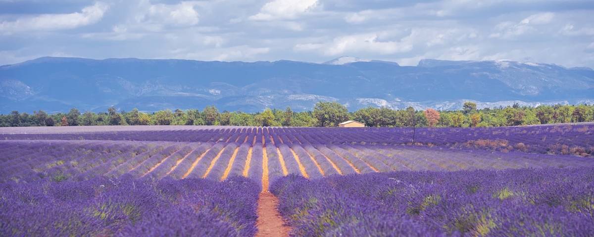 Discover the artisan art of Provence