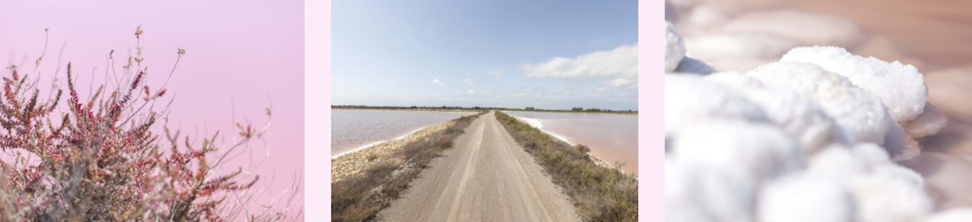 Aigues Morte et ses salins roses