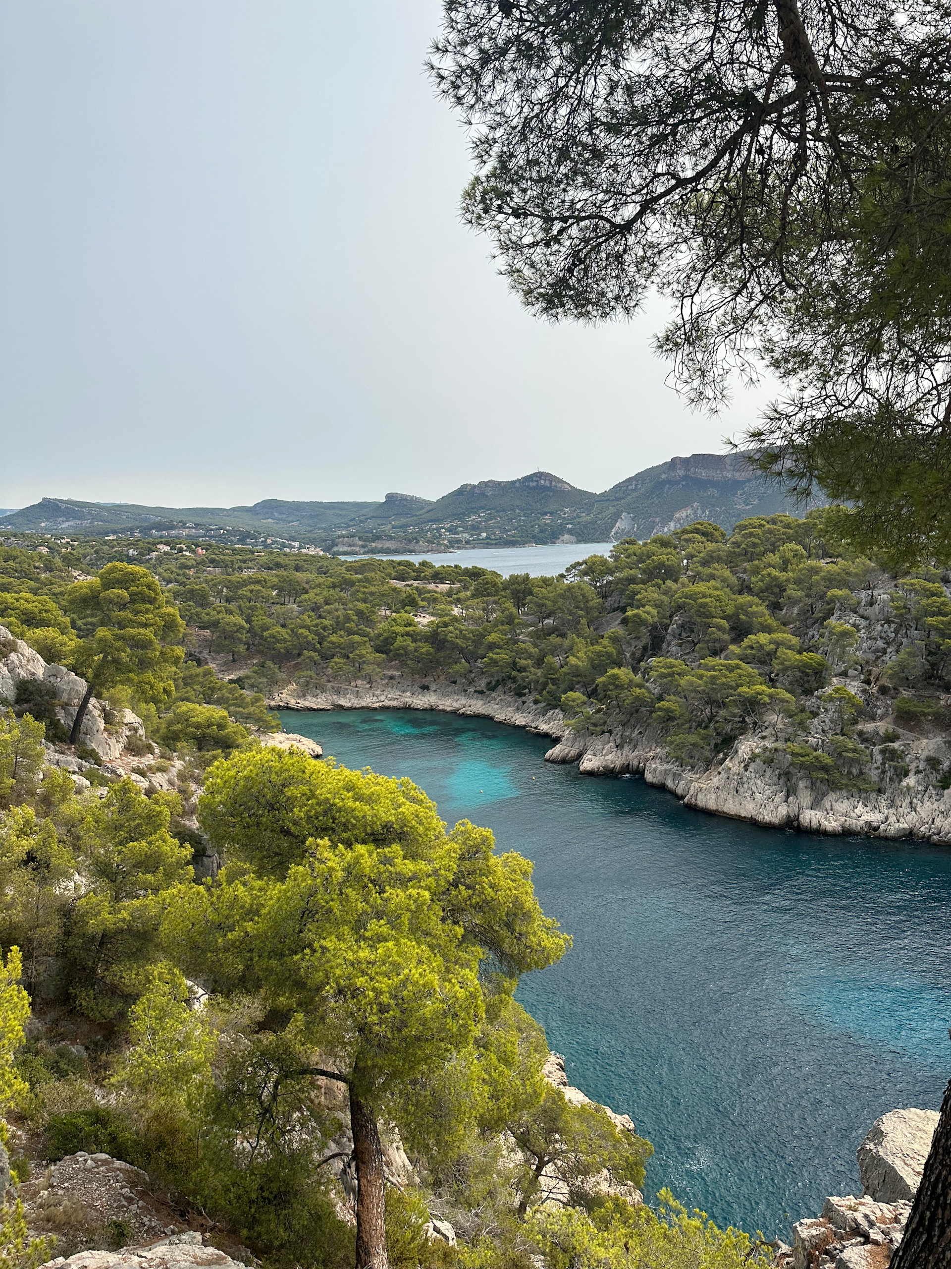 Calanques d'En Vau via Port-Miou and Port Pin