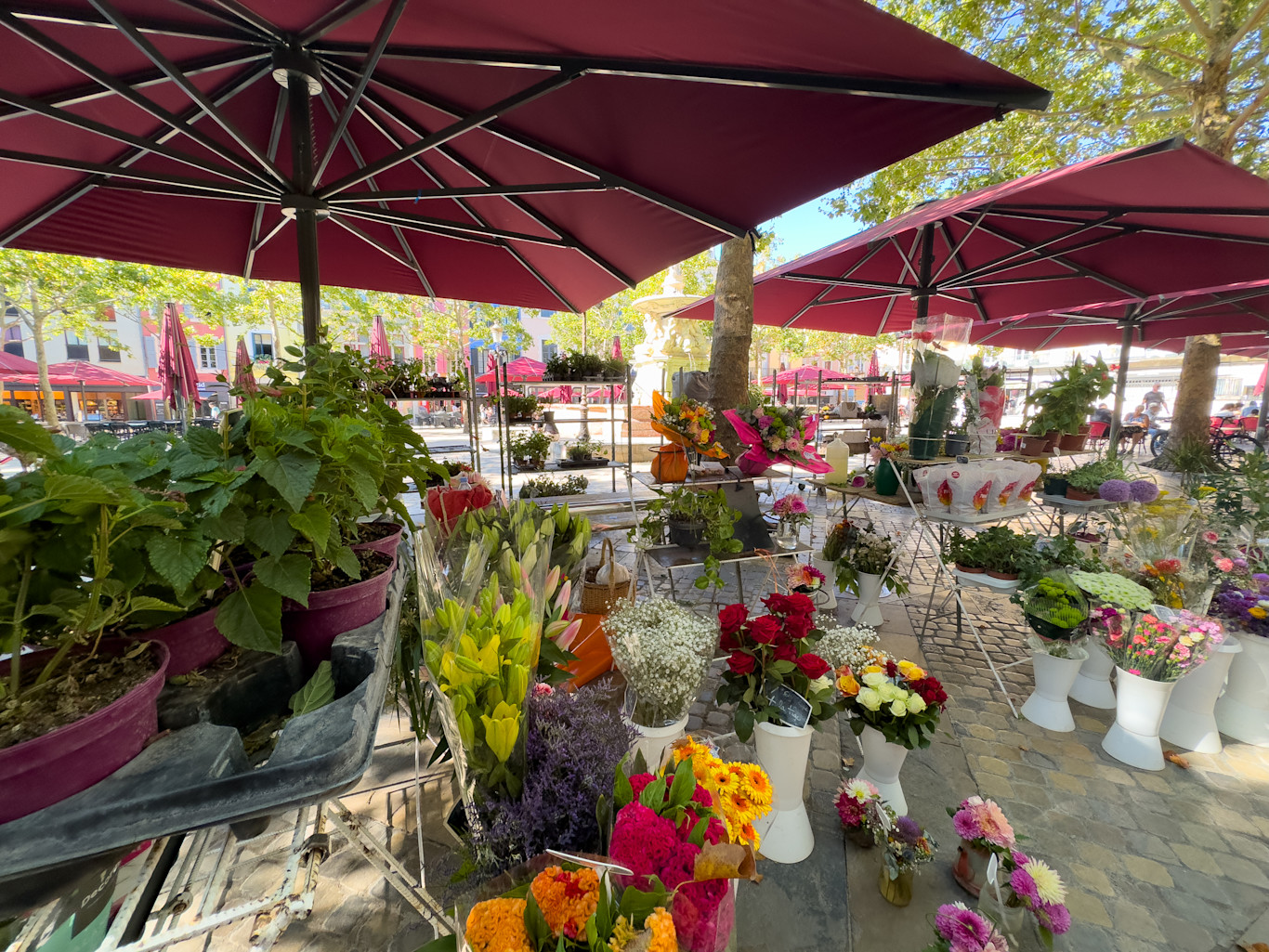 5 must visit food markets in France
