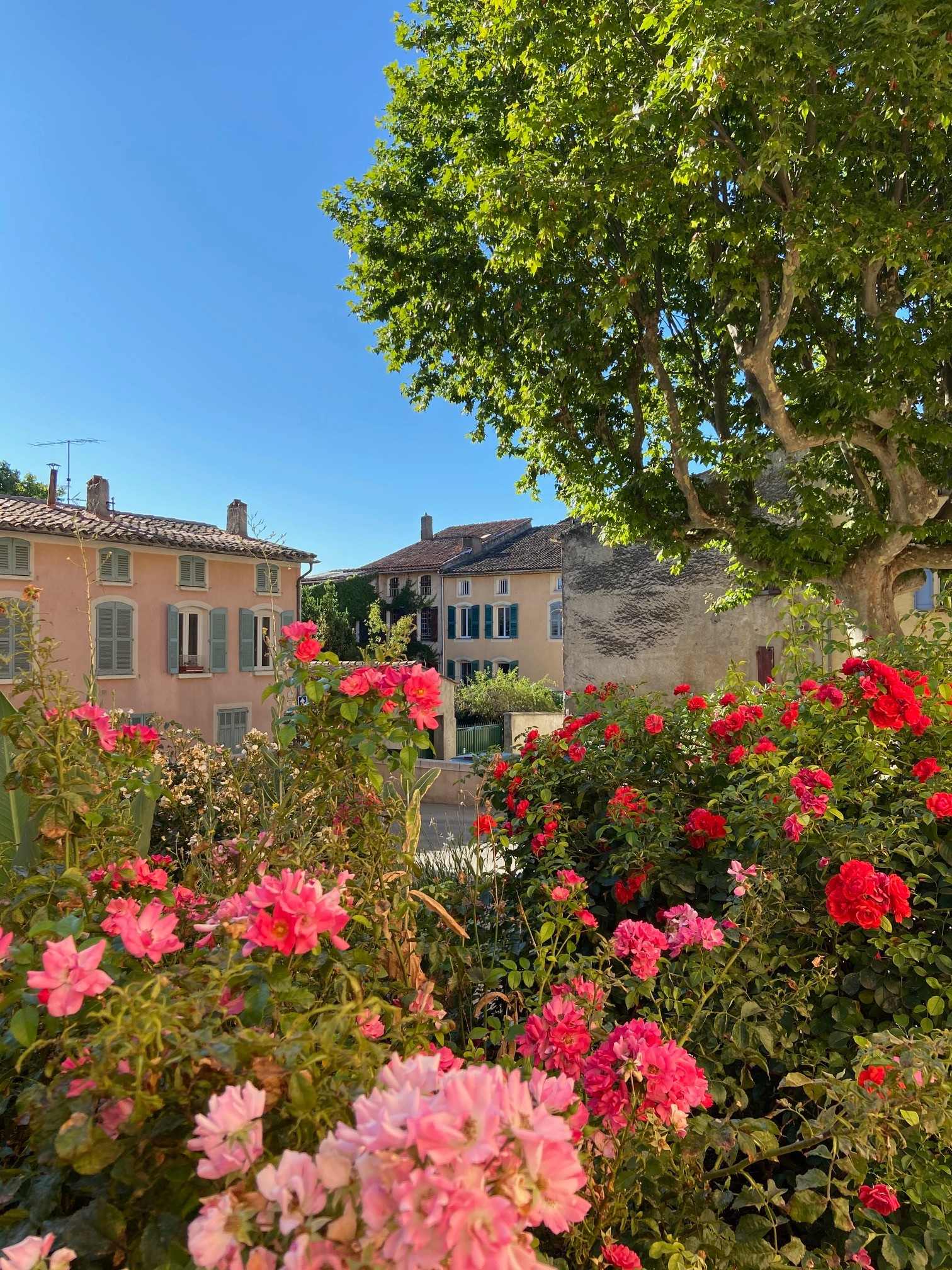 Découvrez Lorgues et séjournez non loin dans une location Pure France