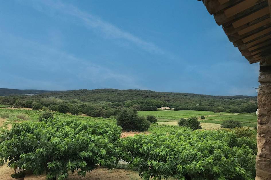 One bedroom home with private and shared pools in a small olive grove