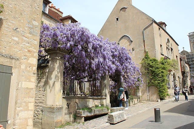 Basilica and hill of Vézelay