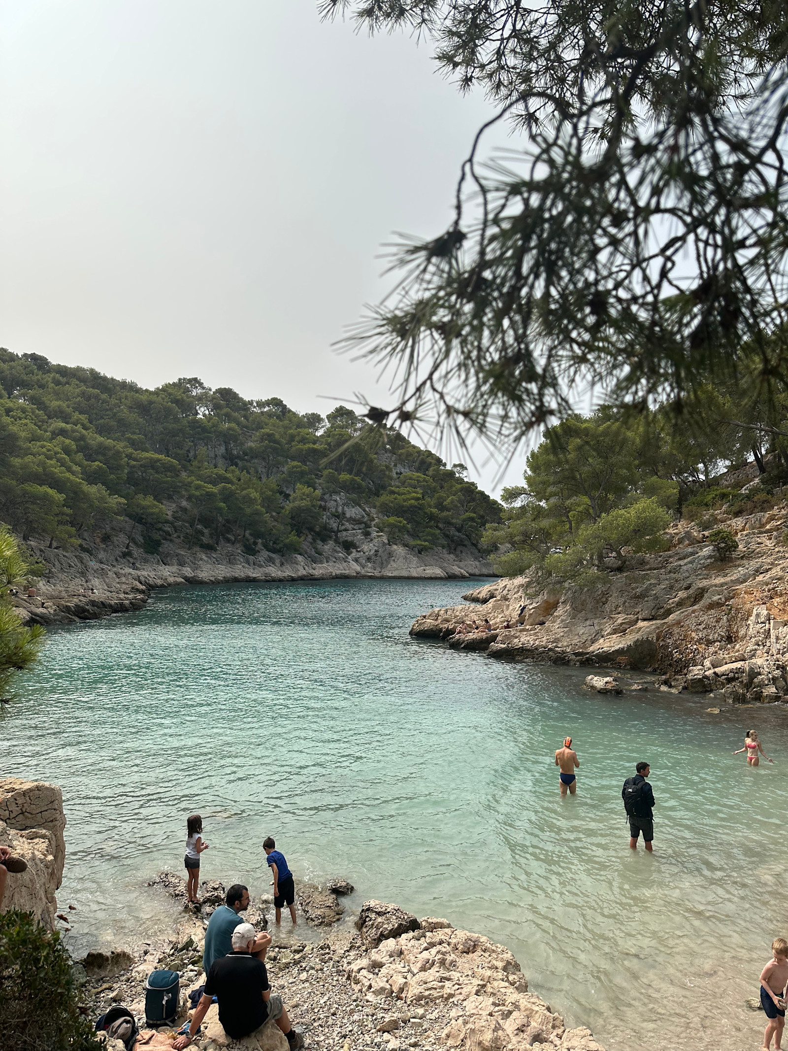 Calanques d'En Vau via Port-Miou and Port Pin
