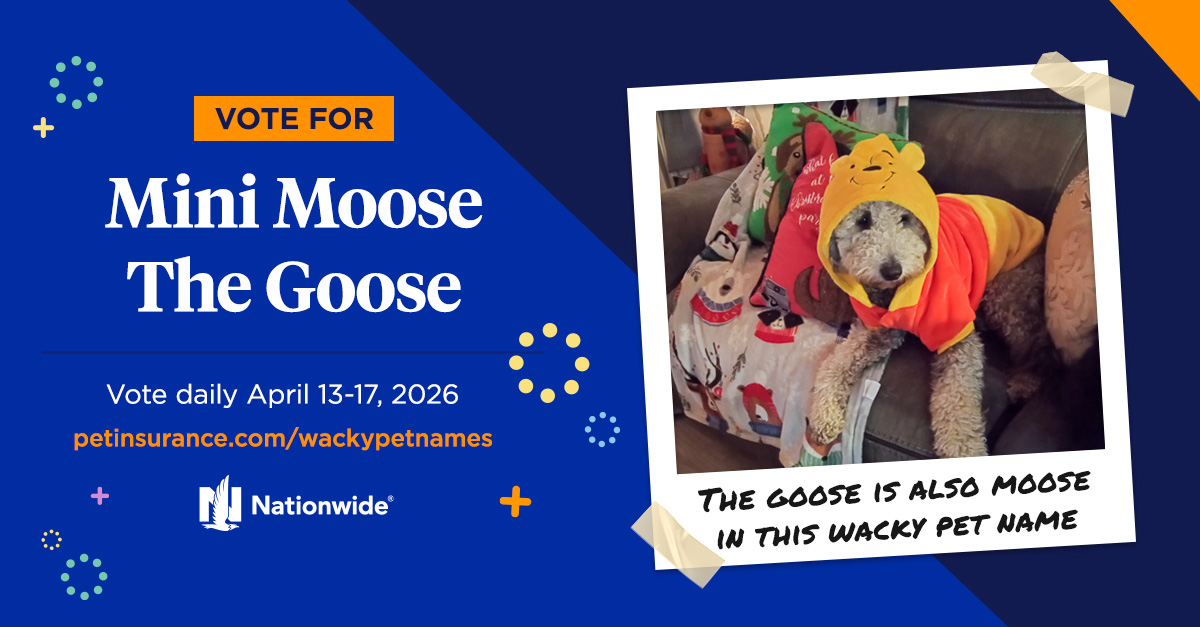 10805C_CRS_2026_Wacky_Social_Cards_1200_Mini_Moose_The_Goose.jpg