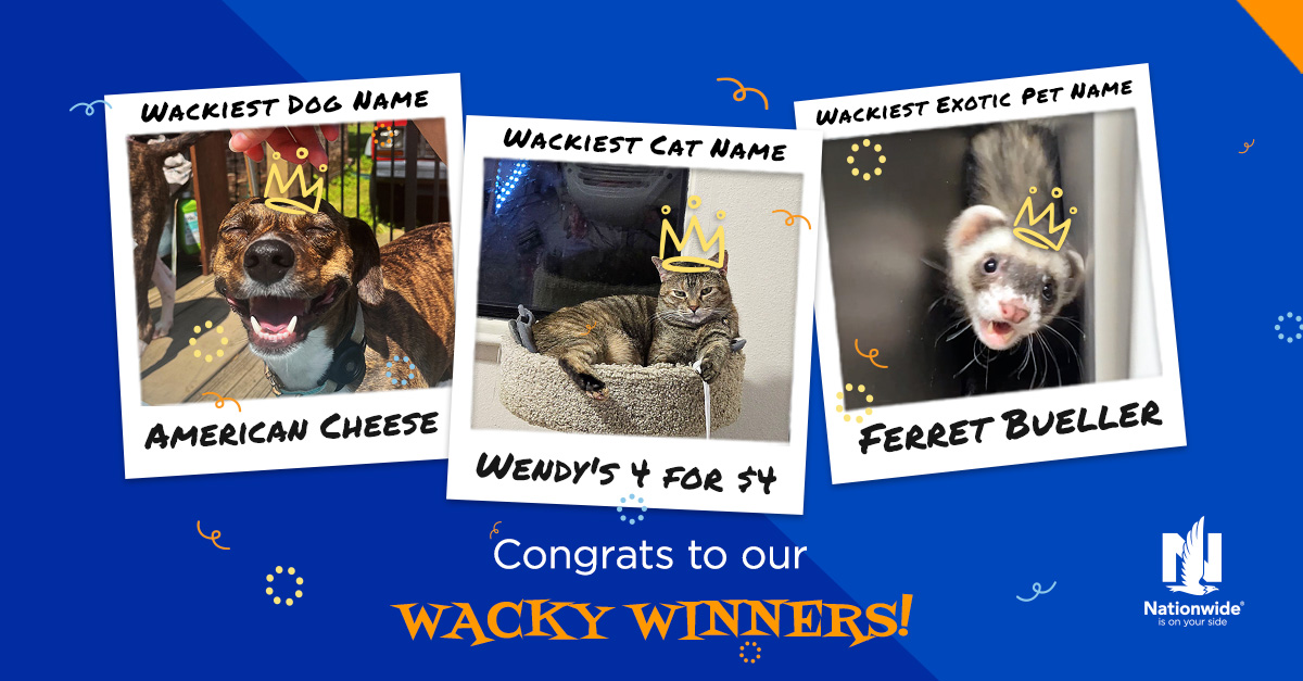 10416I_CRS_2025_Wacky_Pet_Names_Winner_FB.jpg