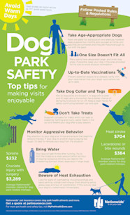 Dog Park Safety Infographic Pet Health Insurance Tips Dog Park Safety Infographic Pet Health Insurance Tips