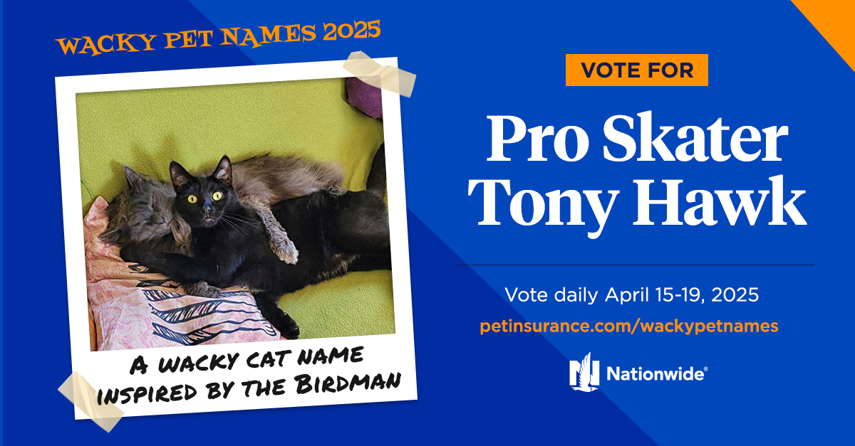 10416E_CRS_Social_1200_Pro_Skater_Tony_Hawk.jpg