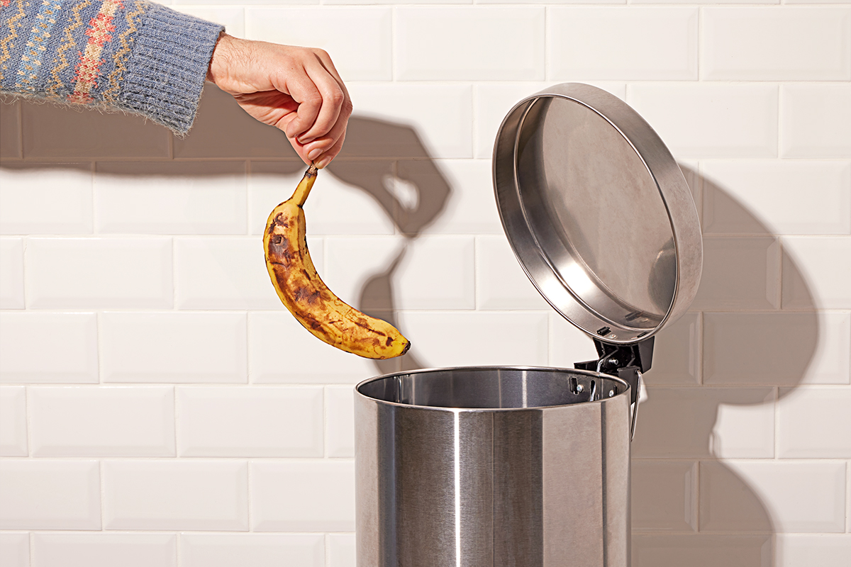 kencko blog | Breaking the mold: how to keep food fresh and when to ...