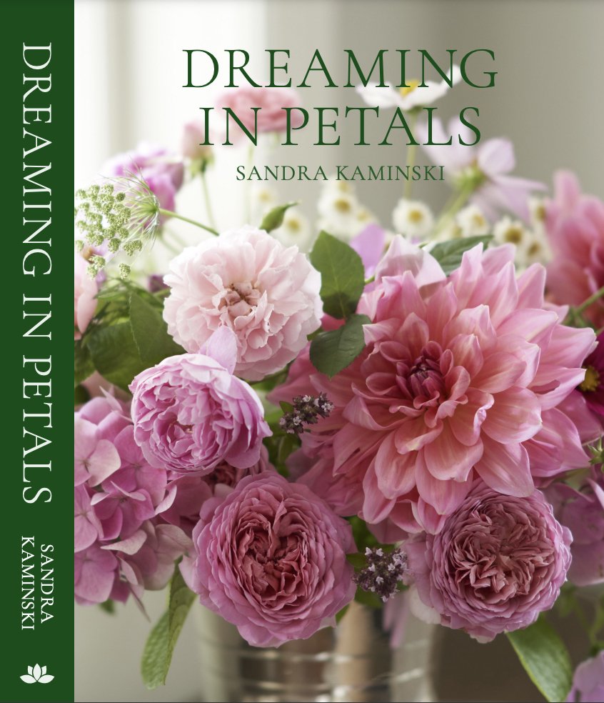 Sandra Kaminski | Author, Stylist