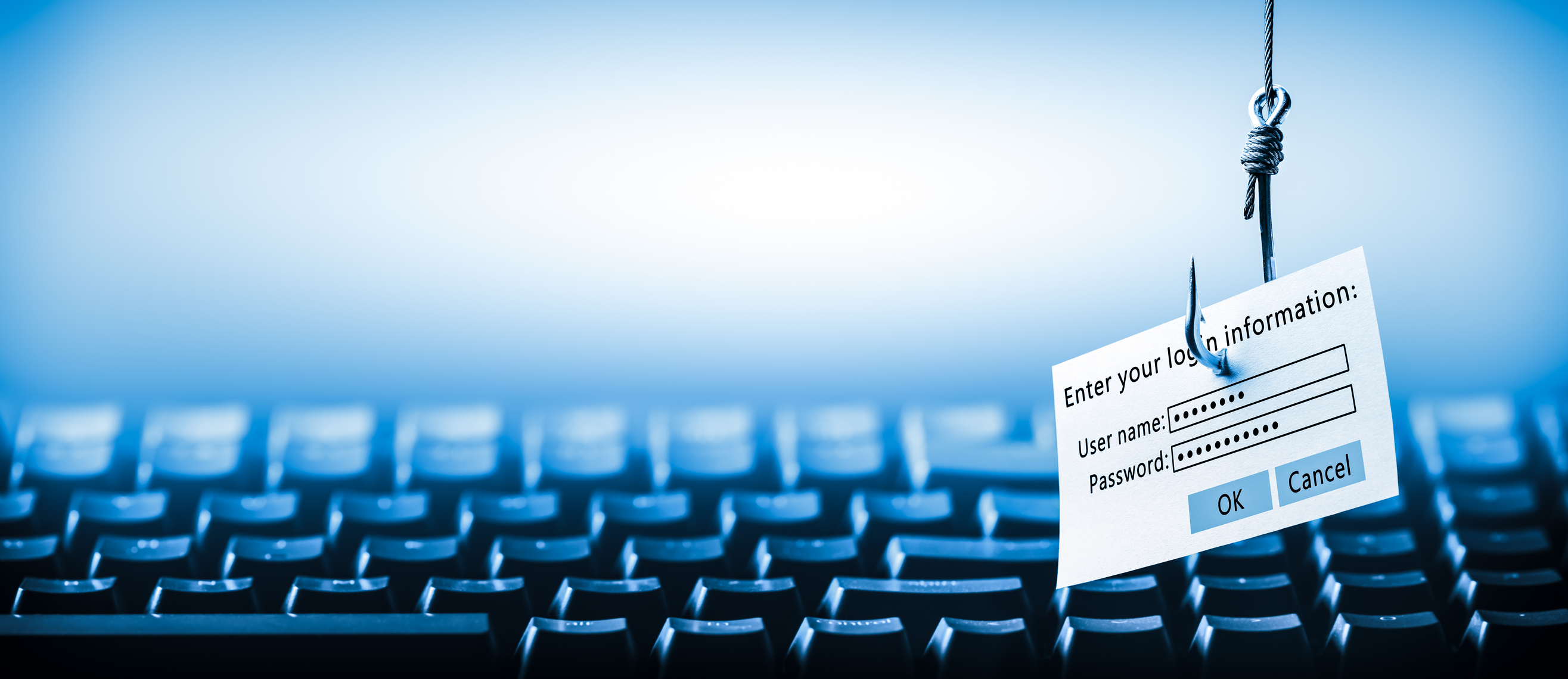 Social Engineering Assessments | Clark Schaefer Consulting