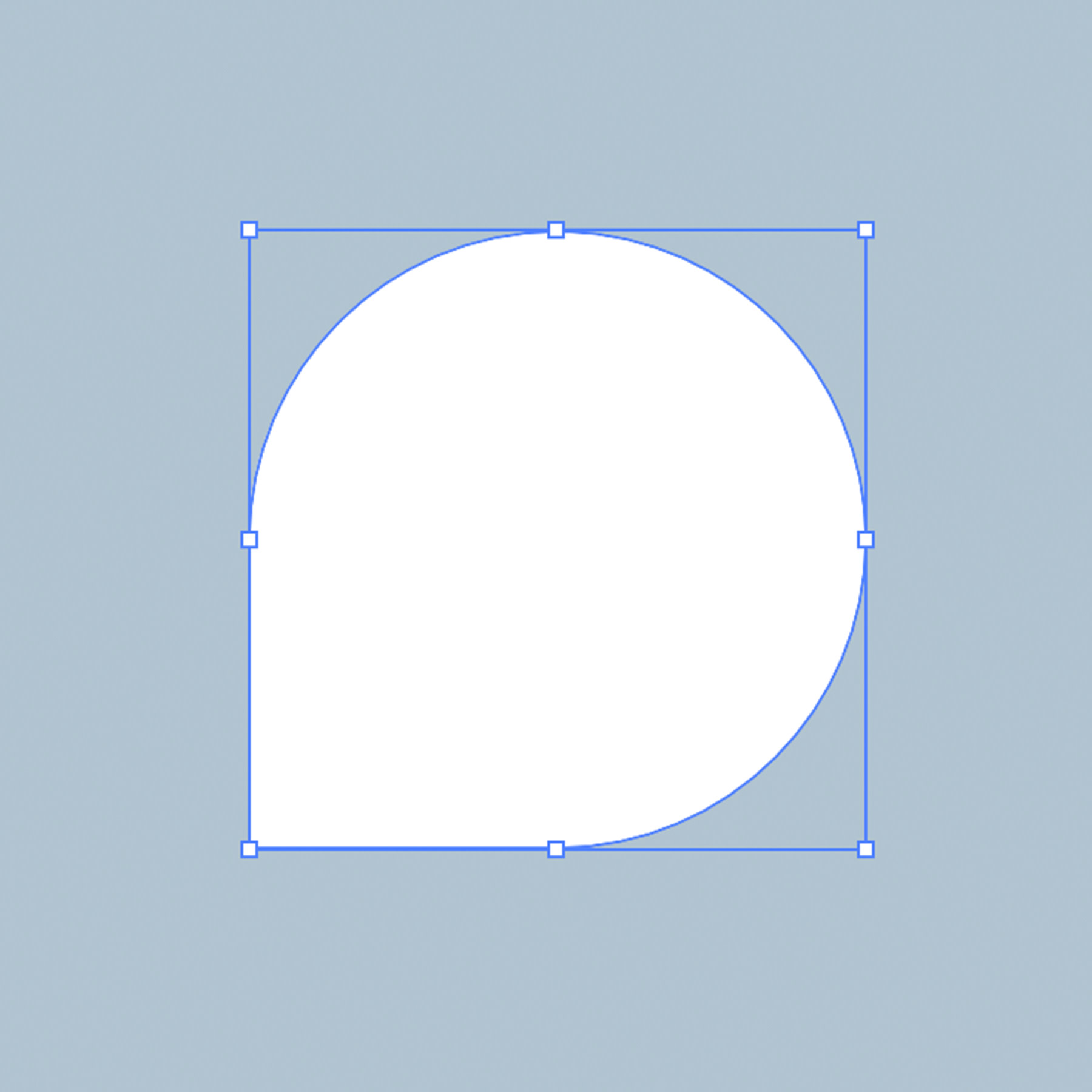 Wat is een Vector bestand? | Drukwerkdeal