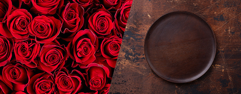 De ultieme kleurgids: alles over de psychologie van kleur en toepassingen van kleurpaletten ...