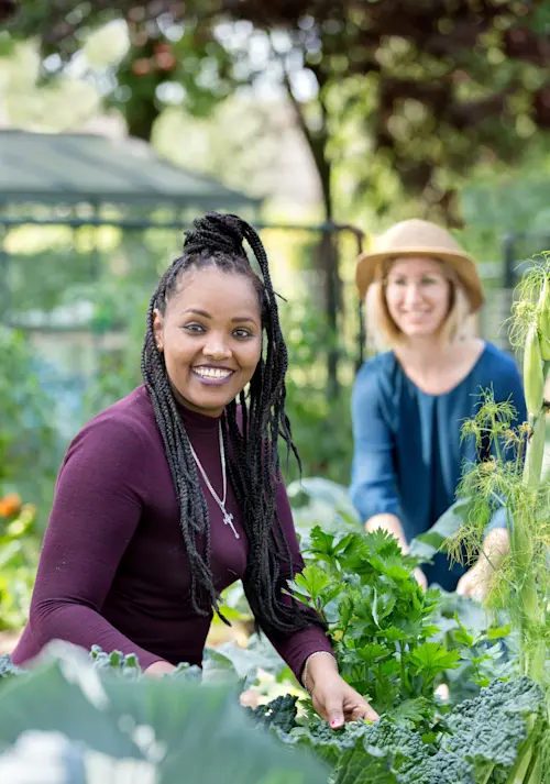 RefugeeHelp - Work for asylum seekers in the Netherlands