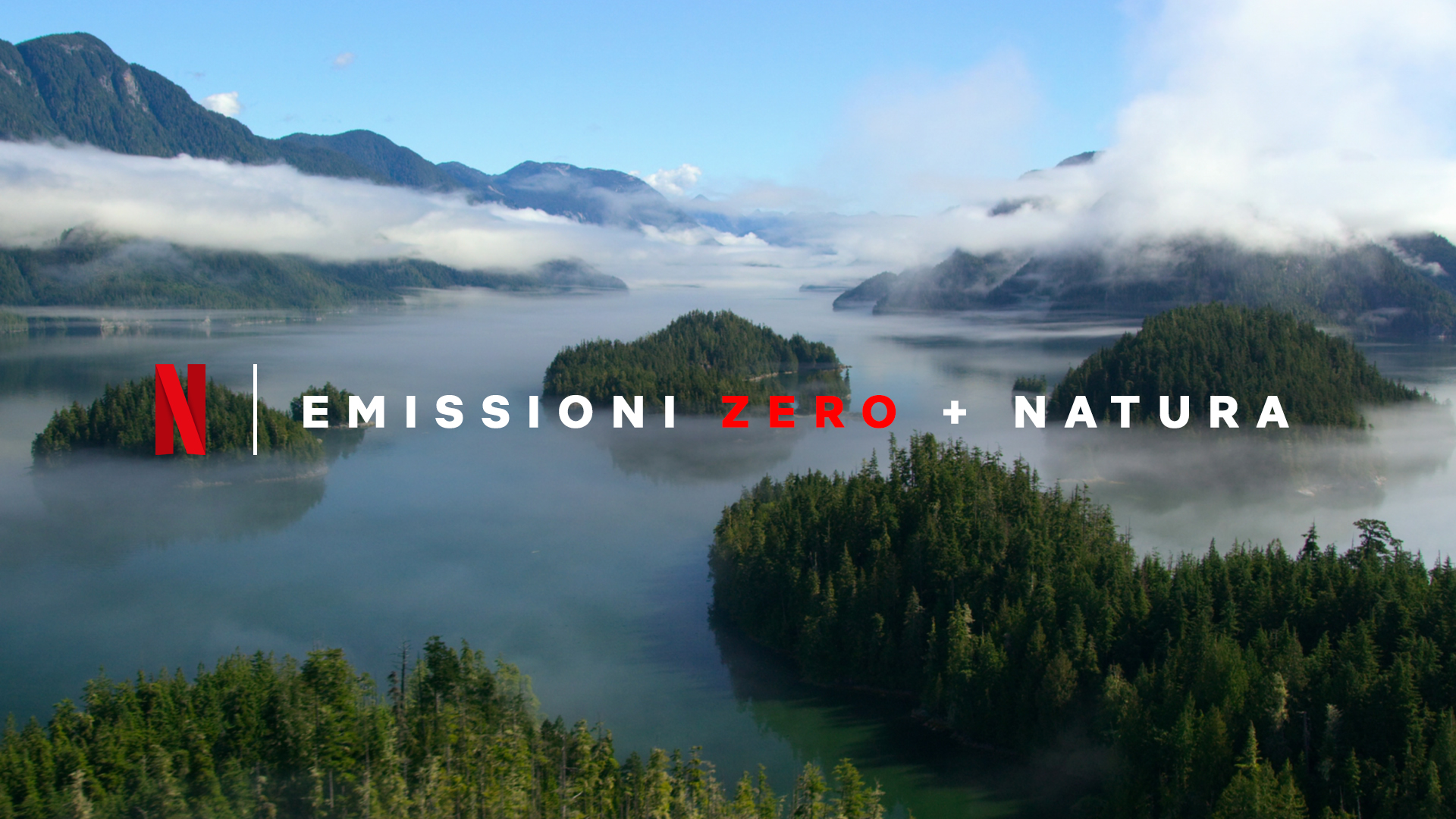 Emissioni zero + Natura: il nostro impegno verso l'ambiente - About Netflix