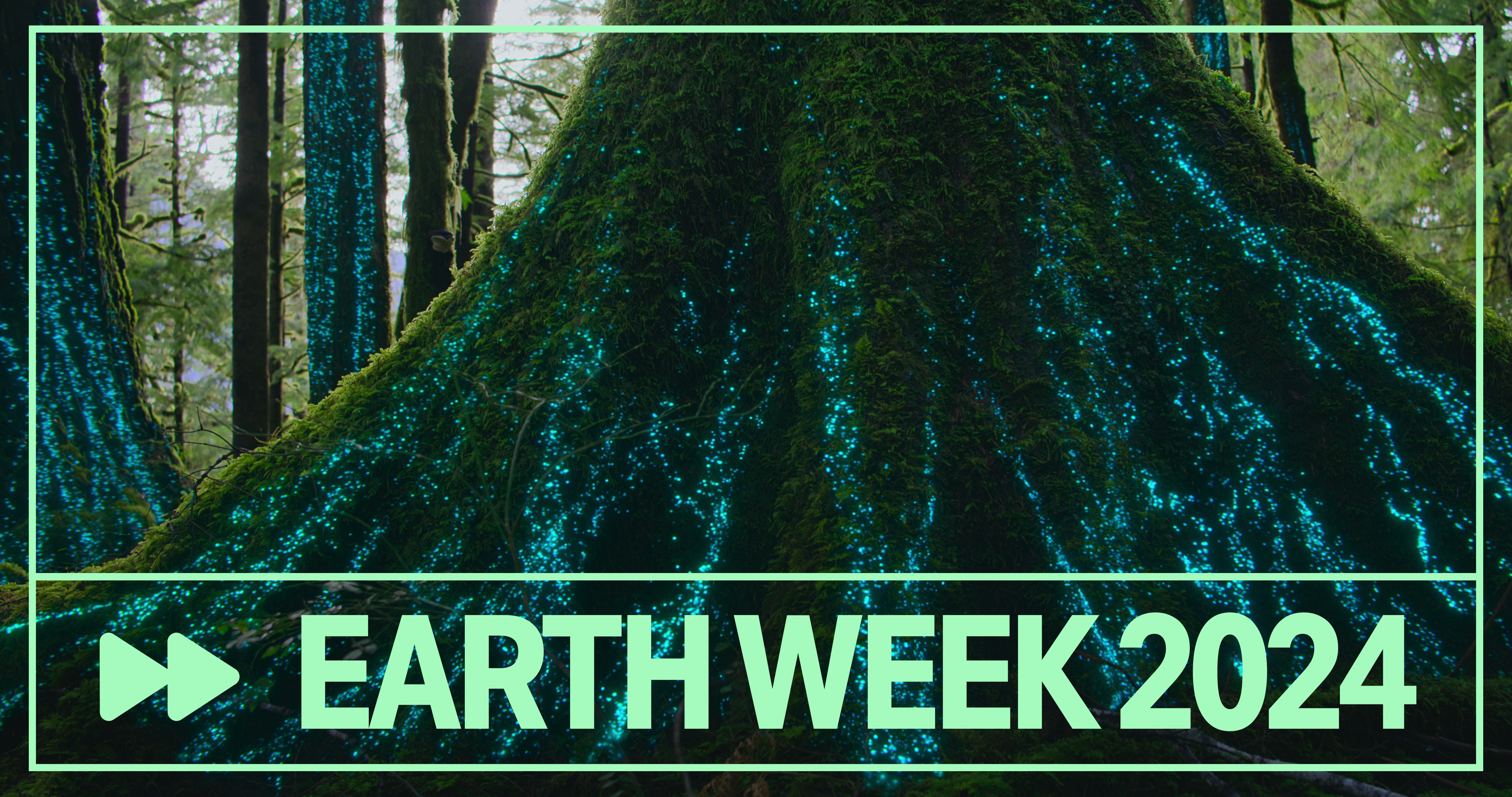 Inspiring Sustainability Stories From Every Genre to Celebrate Earth ...