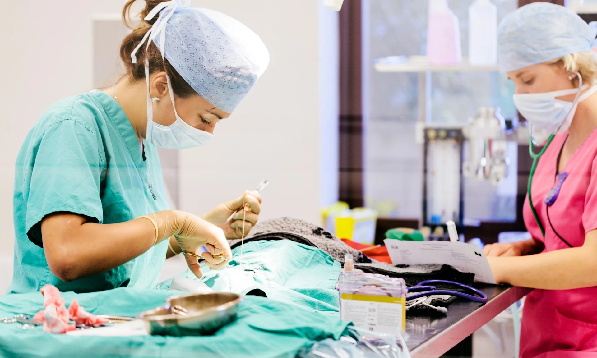 Extractions Made Easier: Tips & Tricks