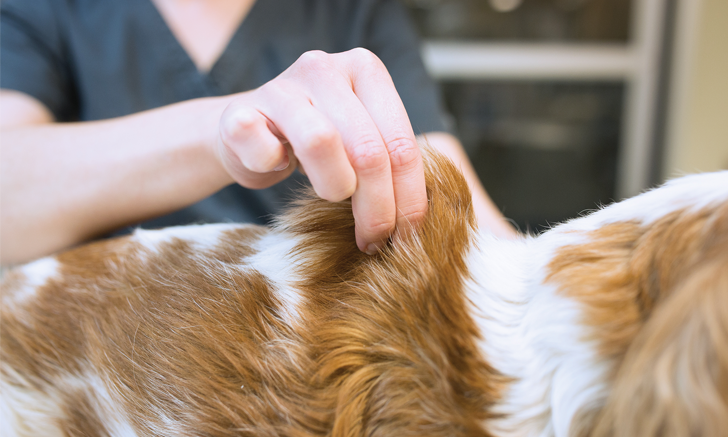 Assessing Patient Hydration