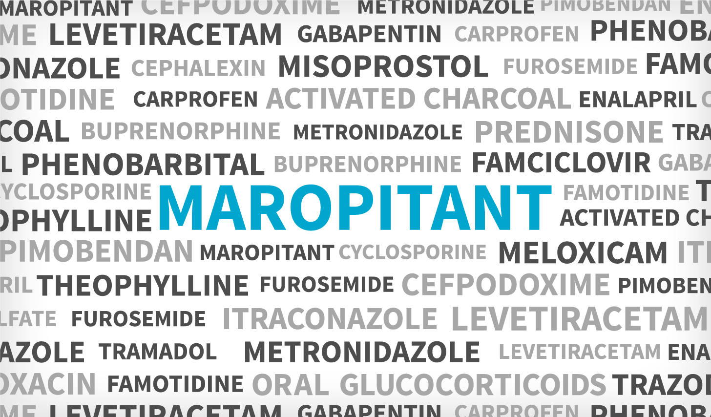 Maropitant