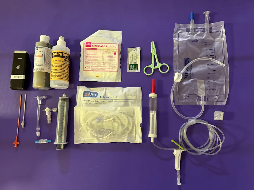 Performing Autotransfusion: Step-by-Step Veterinary Guide