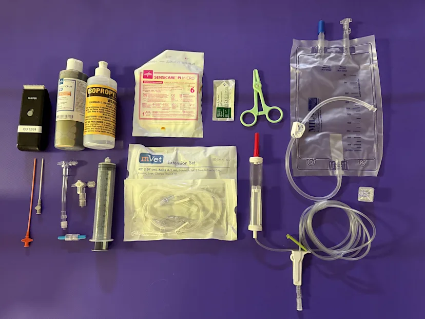 Performing Autotransfusion: Step-by-Step Veterinary Guide