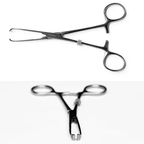 Clinical Image: What Type of Forceps Are Shown?