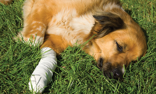 For Metacarpal & Metatarsal Injury, Is Surgery Best?