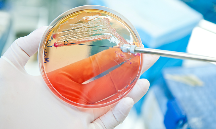 Guide to Lower Urinary Tract Infections in Dogs & Cats