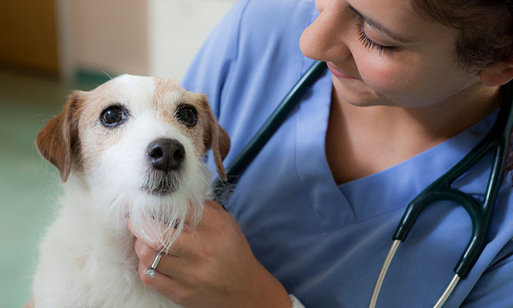 Red Light, Green Light: Procedural Sedation