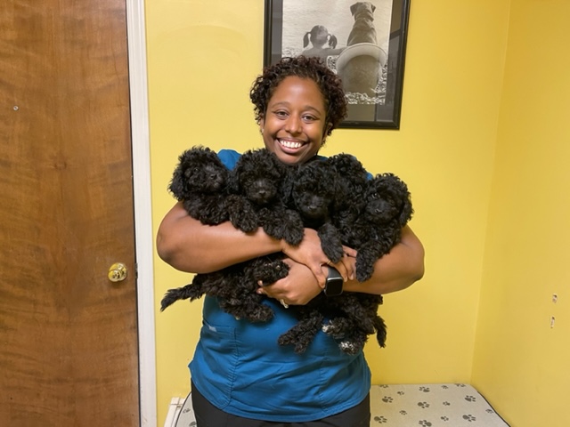 Meet the Veterinarian Creating the Practice of Her Dreams | Clinician's ...