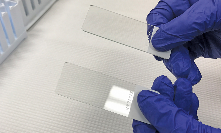 Manual Blood Smears Slides